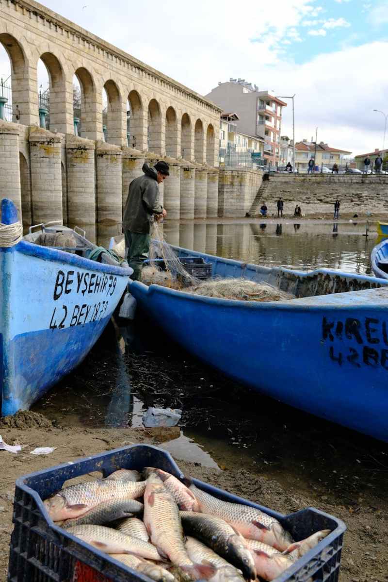 Responding to the Calling – Barb, poet priest